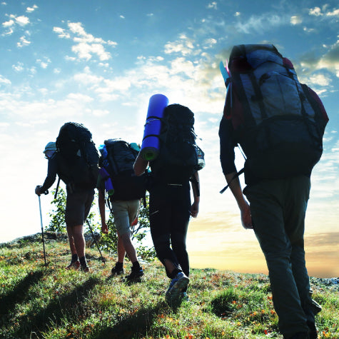 The Ultimate Lifeline: How The Survival Tabs Revolutionize Migrant Foo ...